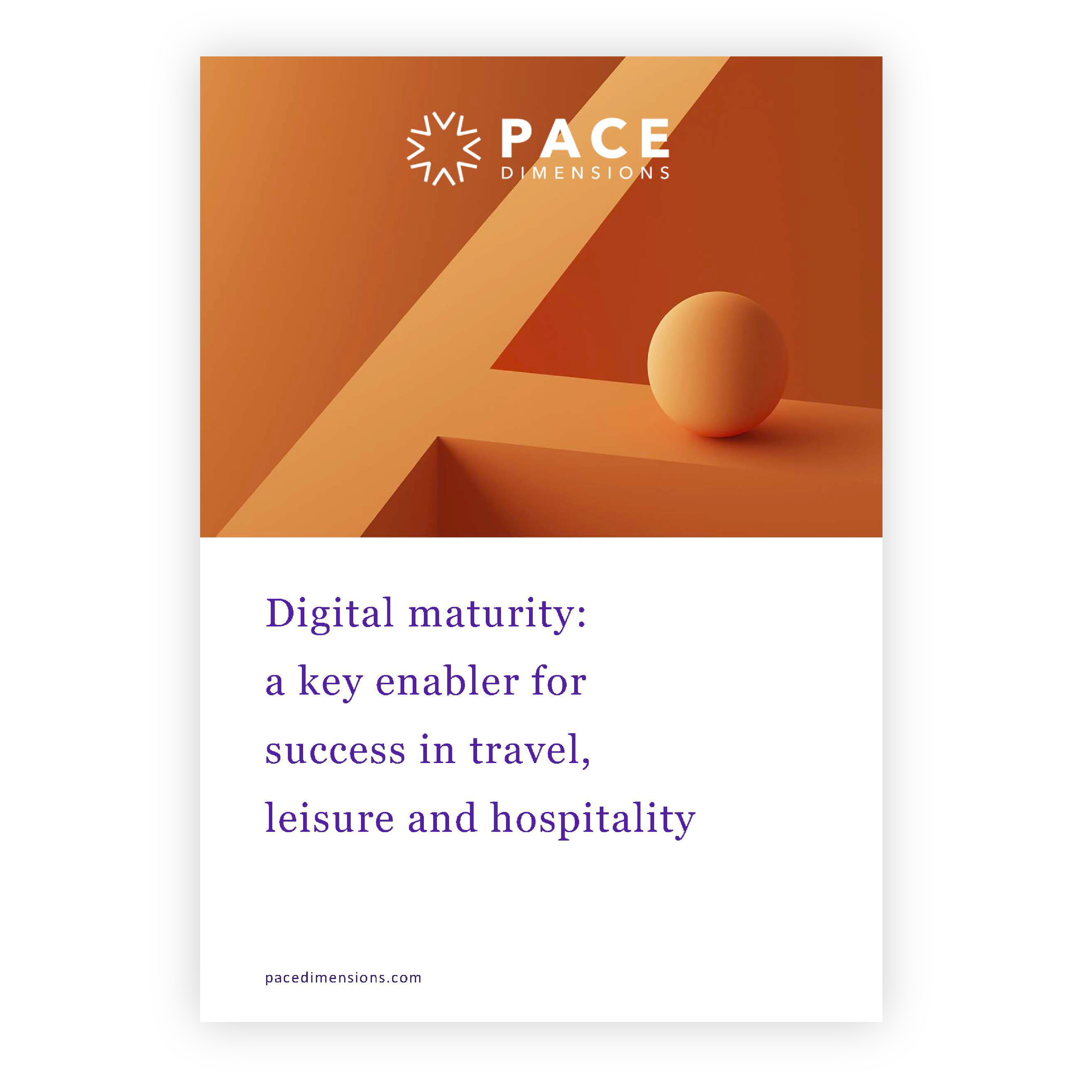 Digital maturity: success in travel, leisure & hospitality - PACE ...