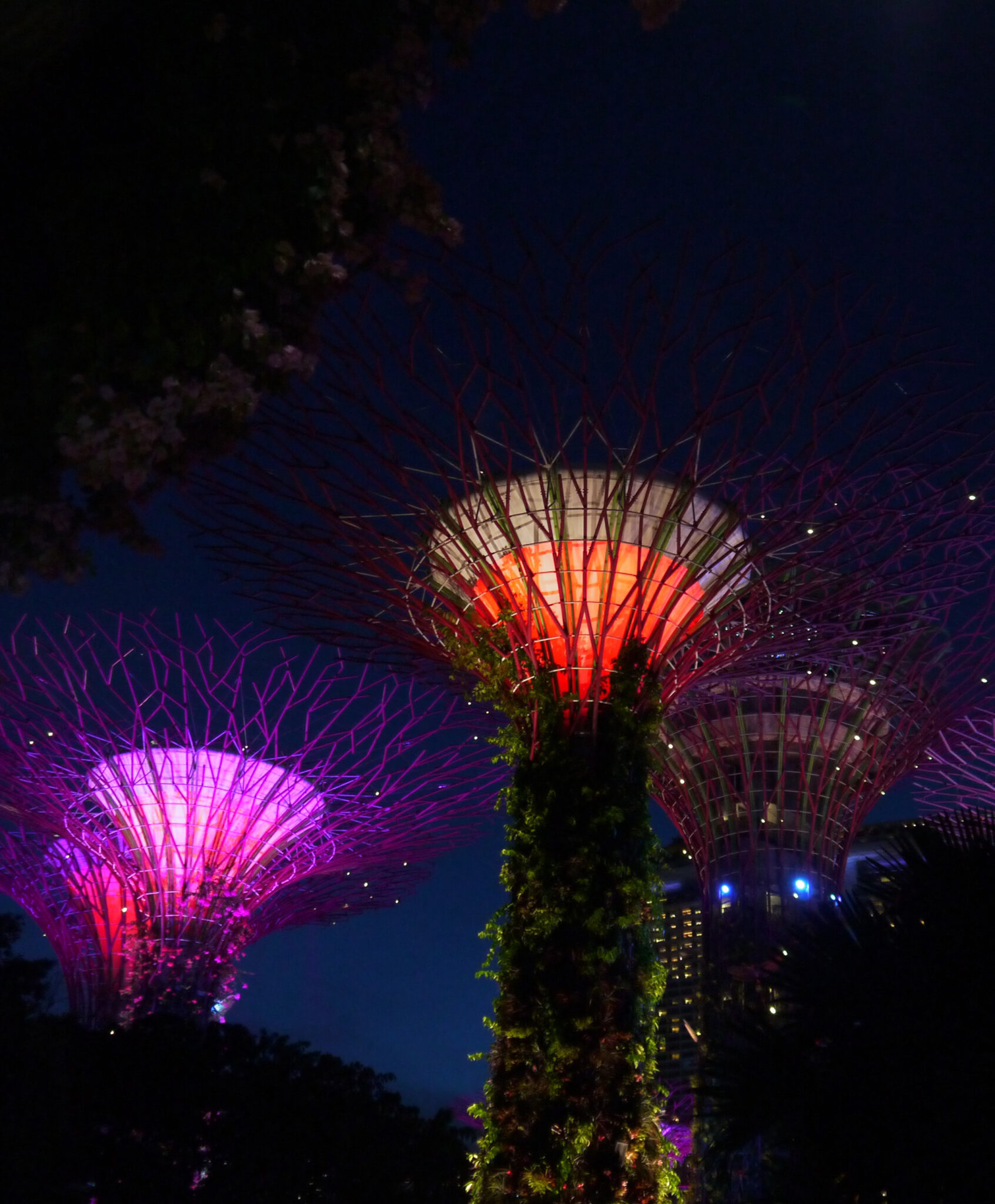 Sustainability & Consumers Webinar with BVA BDRC - PACE Dimensions