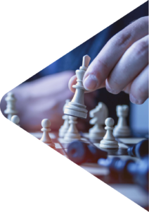 Expertise - Expert Consulting Services - PACE Dimensions