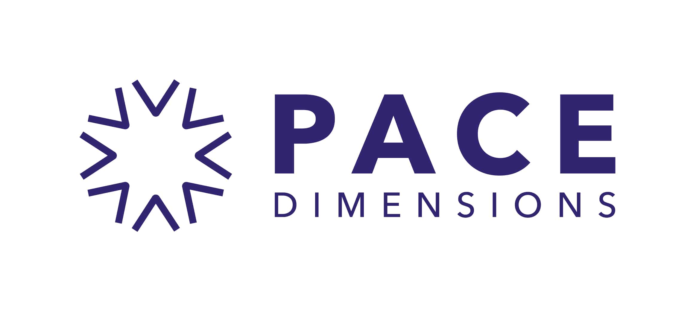 Travel and Hospitality Performance Consulting - PACE Dimensions